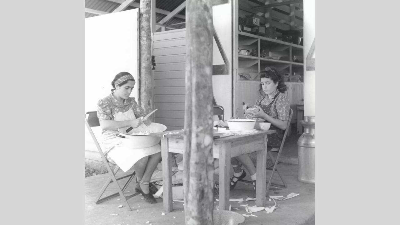 Julie Fitzpatrick - Center for Advanced Genocide Research