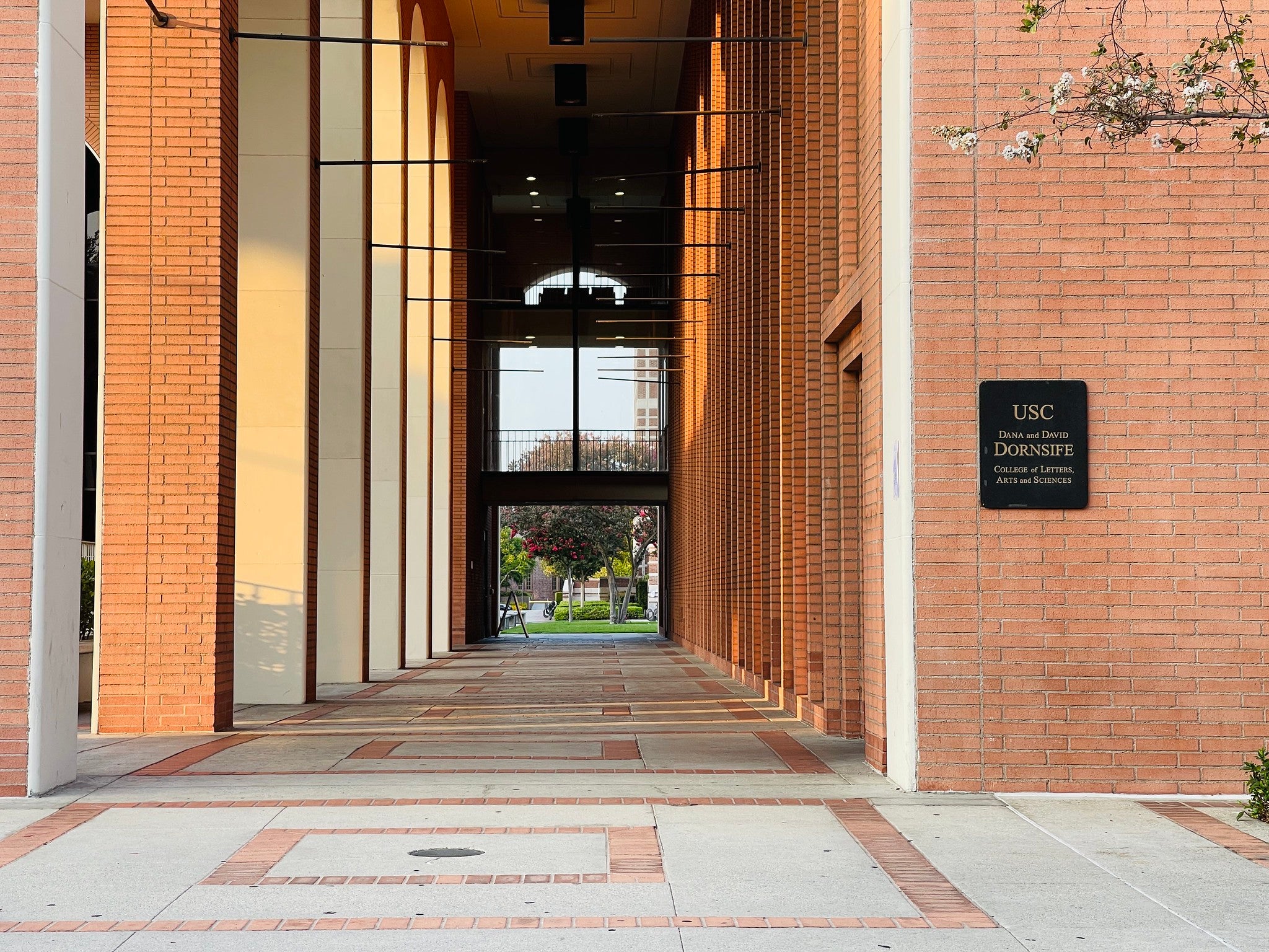 Research Briefs - Center for the Changing Family