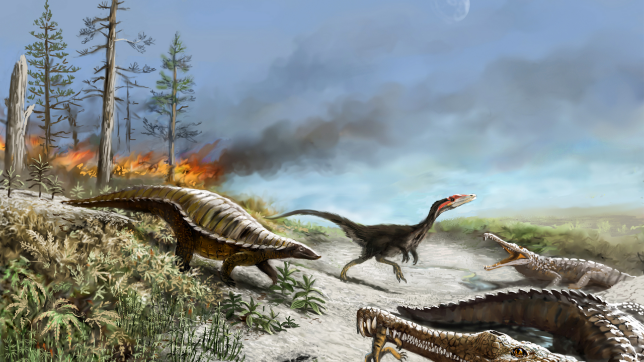 Earth Science professors embark on new insights on mass extinction