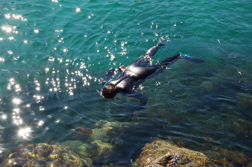 USC Wrigley Marine Science Center - Manahan Lab Group