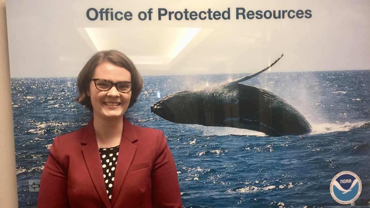 Student Experiences - USC Sea Grant