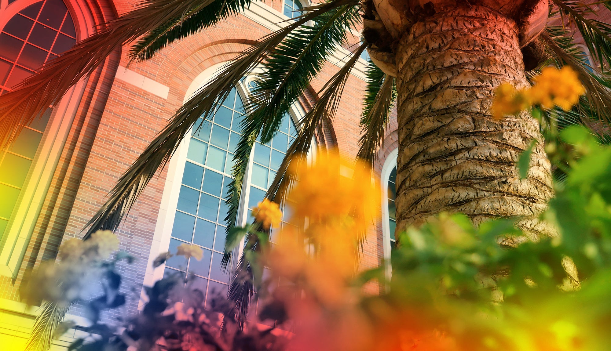 Facilities - USC Dornsife