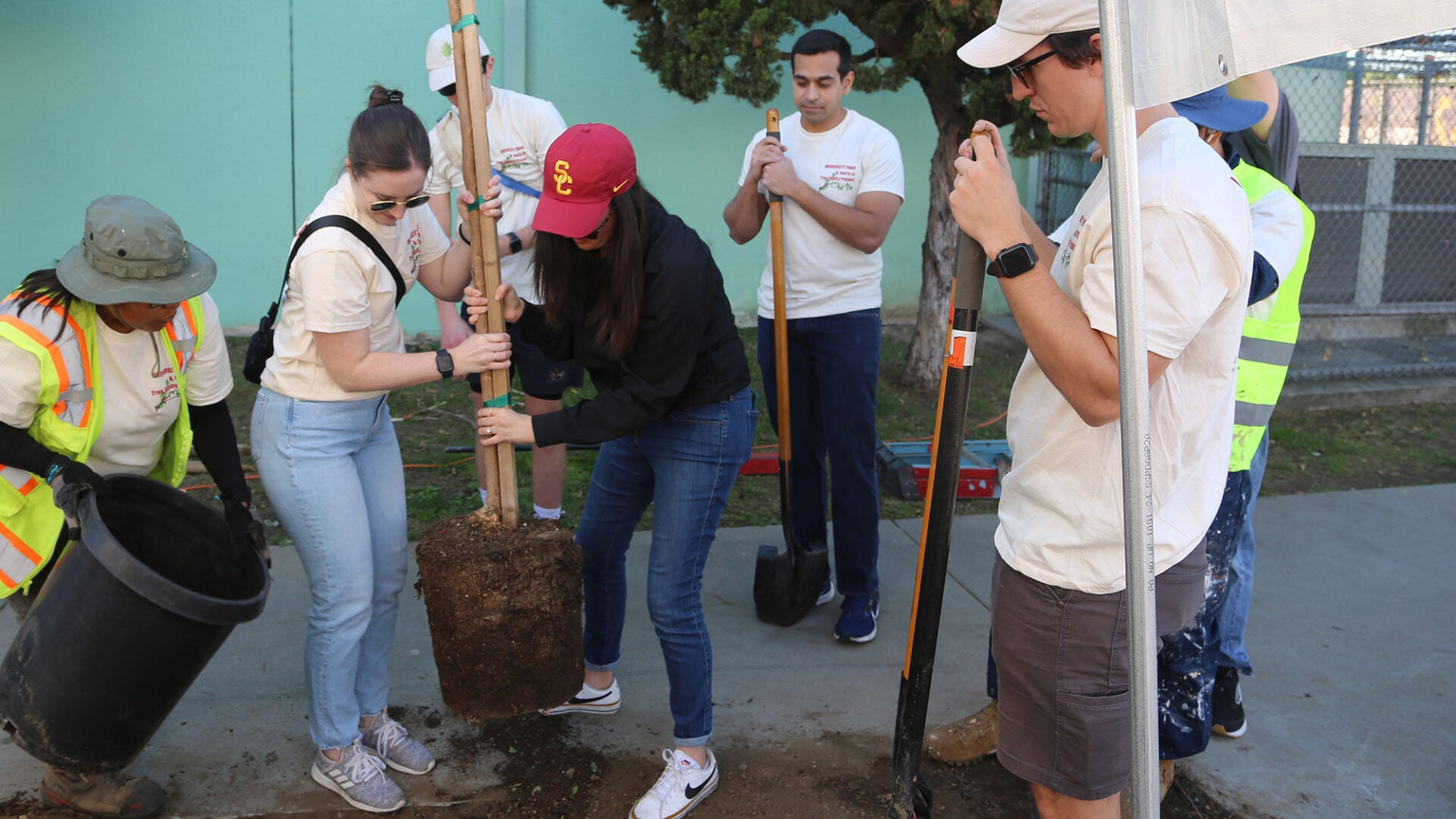 USC Dana and David Dornsife College of Letters, Arts and Sciences