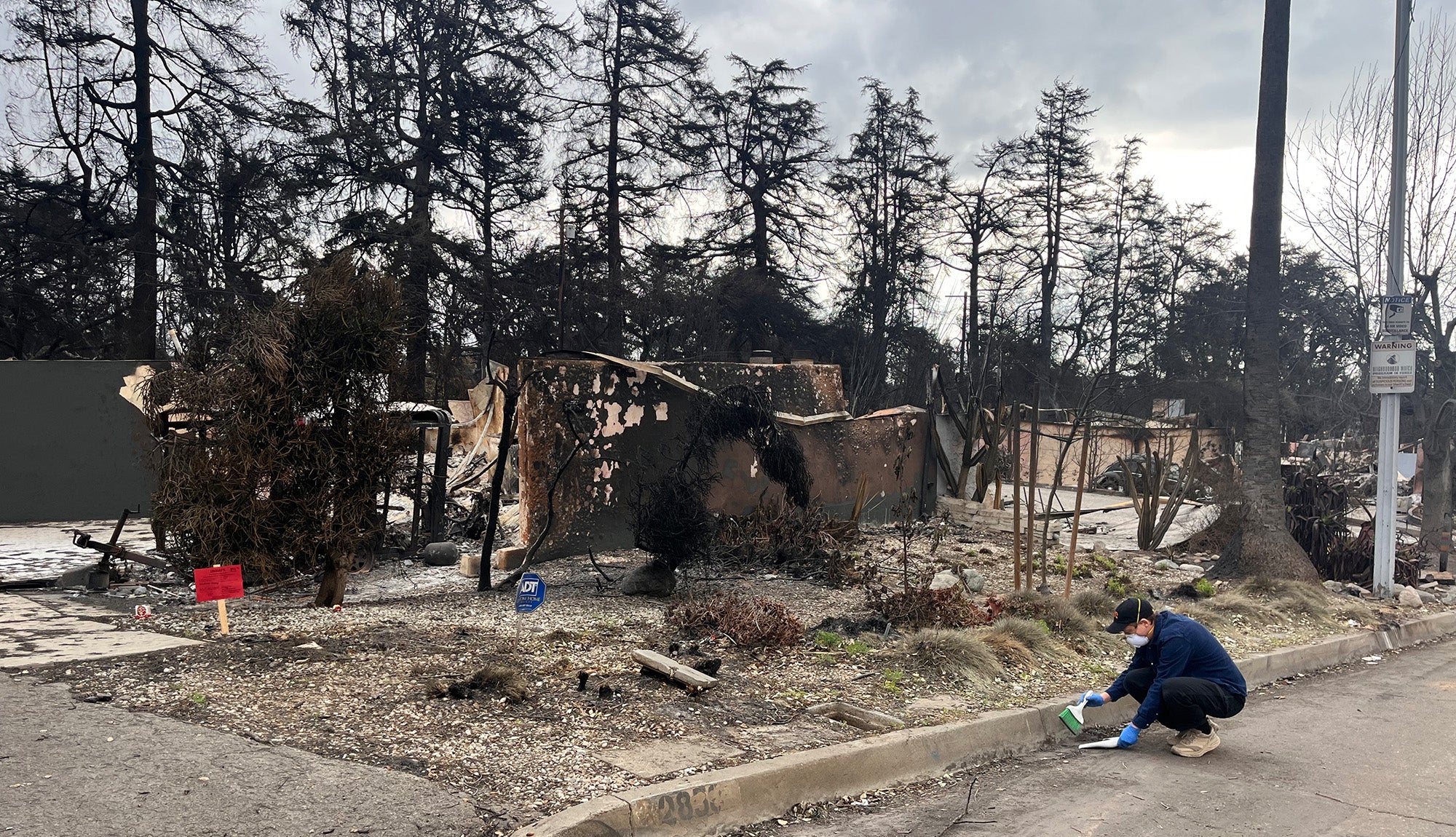 Free lead soil testing by USC Dornsife researchers helps L.A. residents ...