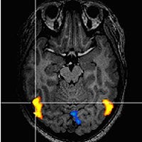 New Center Boosts USC Brain Power