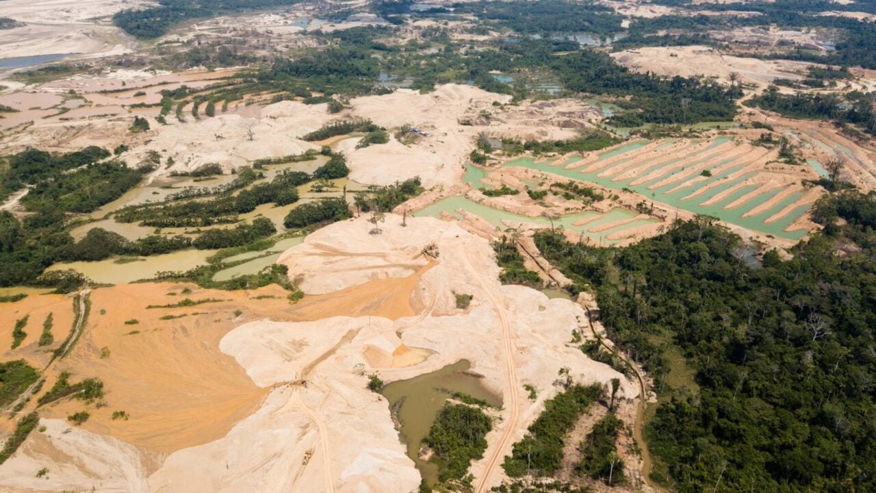 Why forests aren't coming back near Amazon gold mines